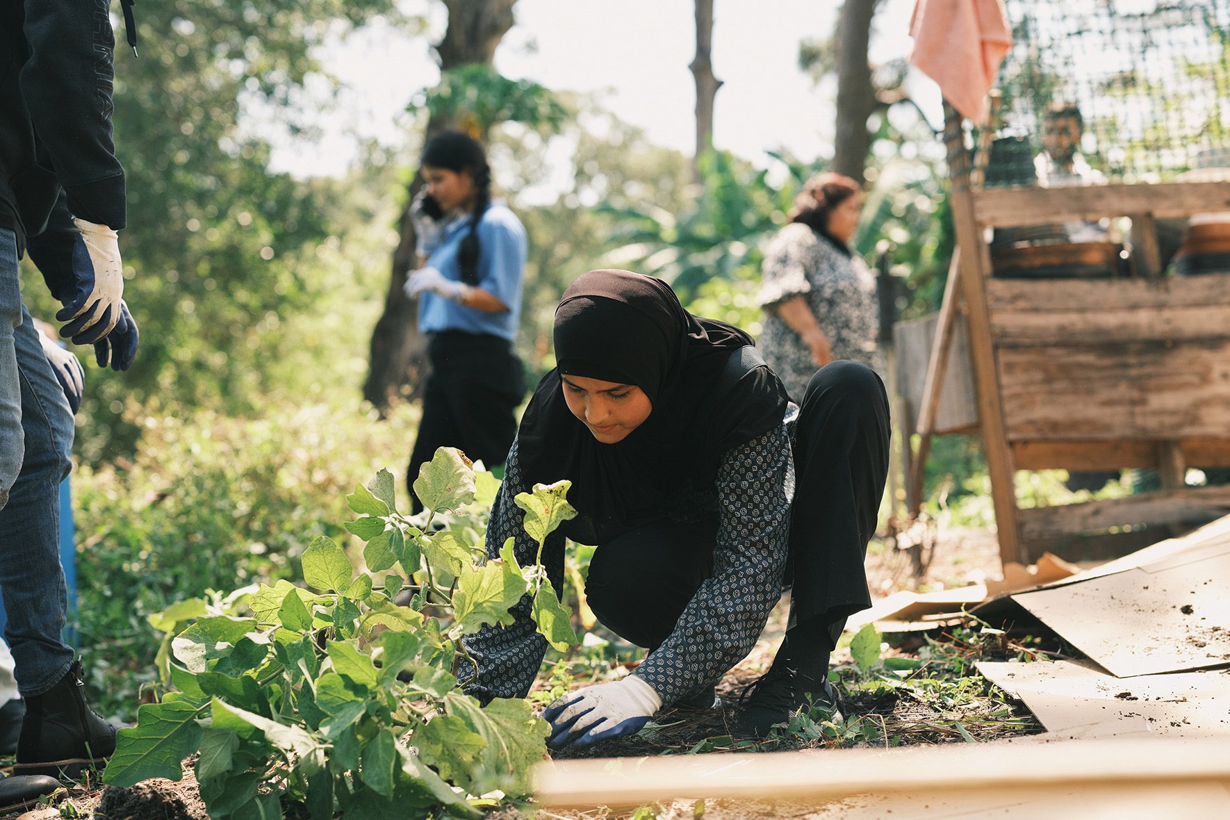 Community Garden for Refugees Offers Belonging & a Taste of Home | HIAS
