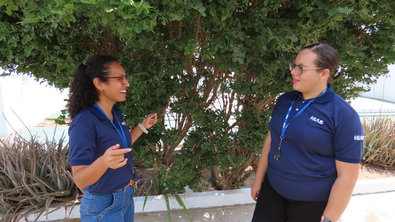 Localization in the Caribbean